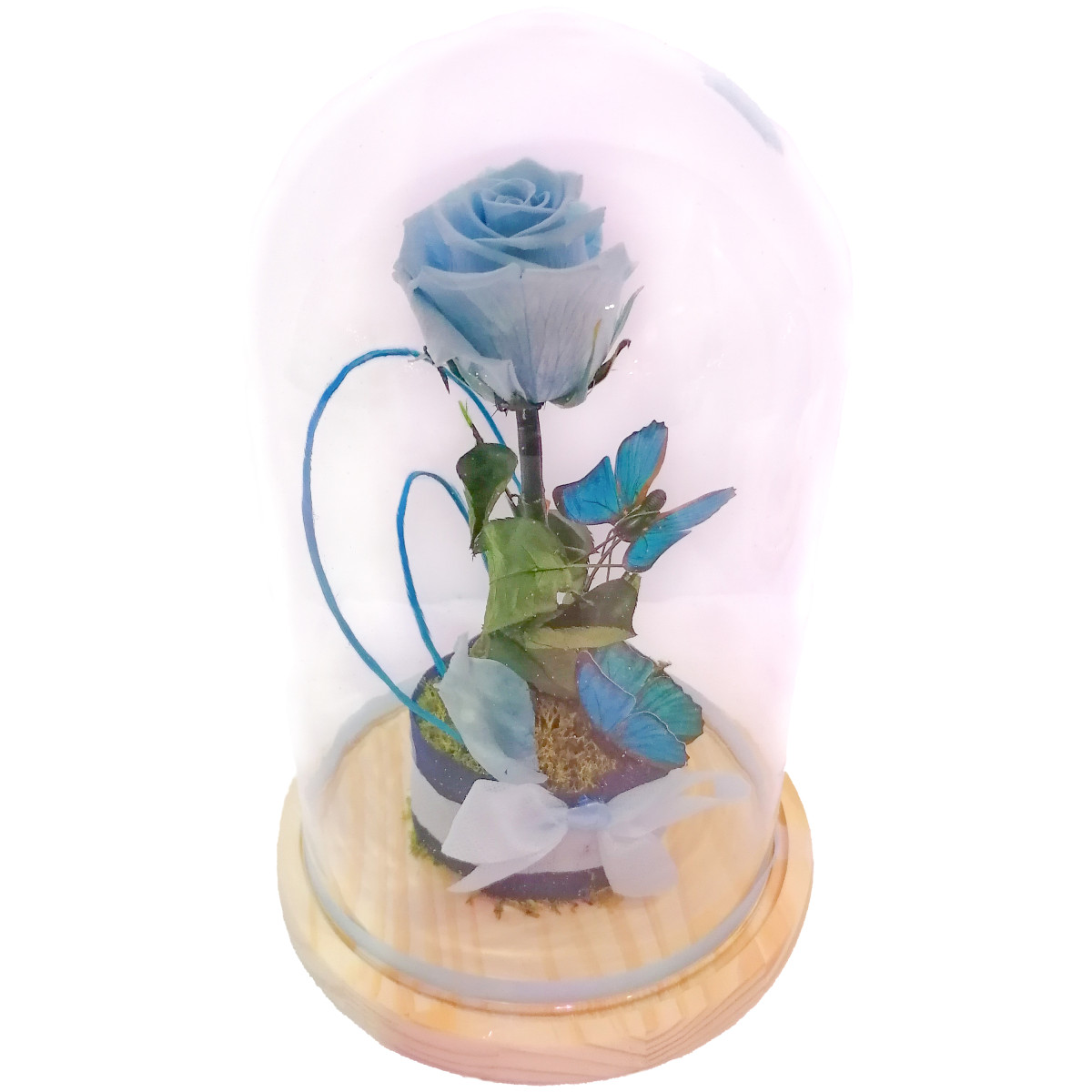 Bella y la bestia eterna azul - Floristería Morris